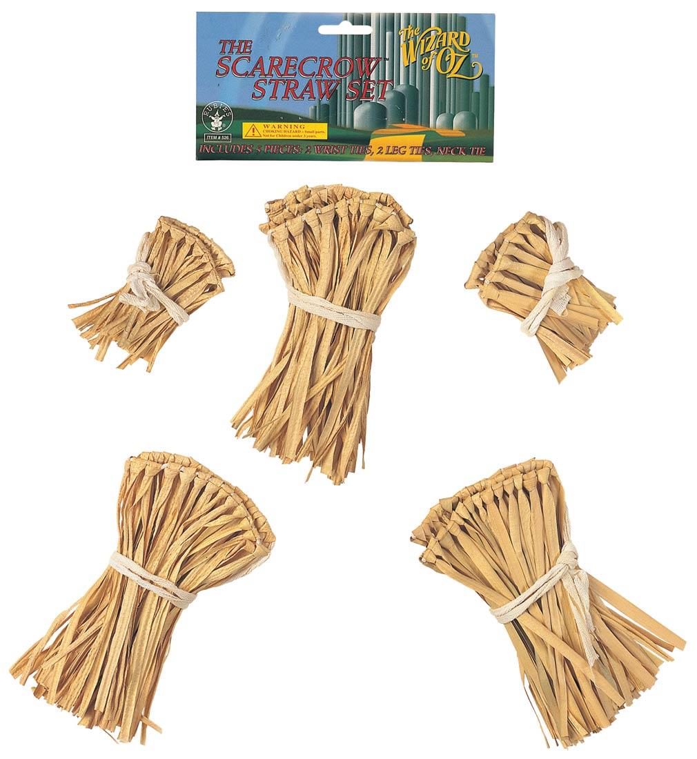The Wizard of Oz Scarecrow Straw Accessory Kit | Costumes.com.au ...