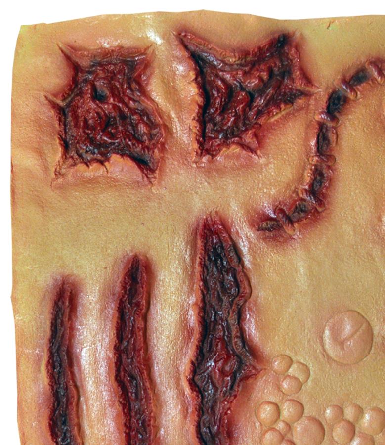 Scar Sheet Prosthetics Makeup Accessory - Costumes.com.au