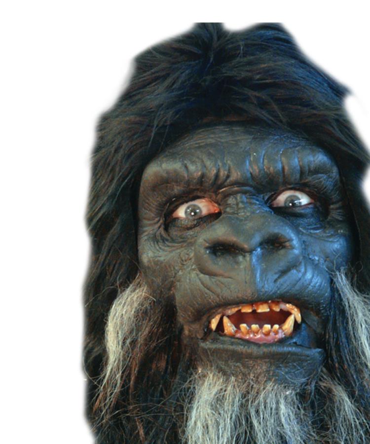 Gorilla Ape Face Prosthetic Makeup Accessory - Costumes.com.au