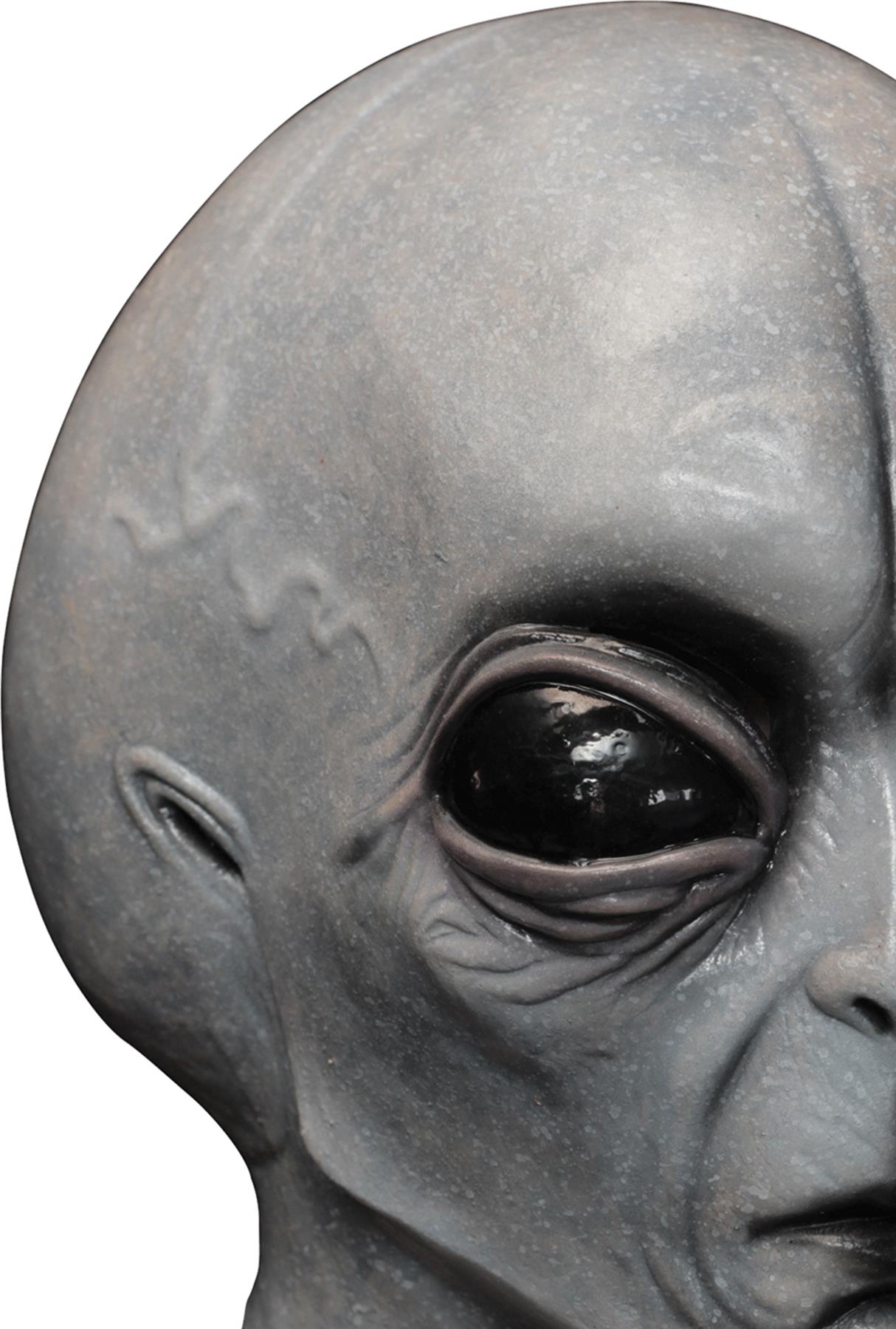 Area 51 Alien Adult Mask | Costumes.com.au - Costumes.com.au