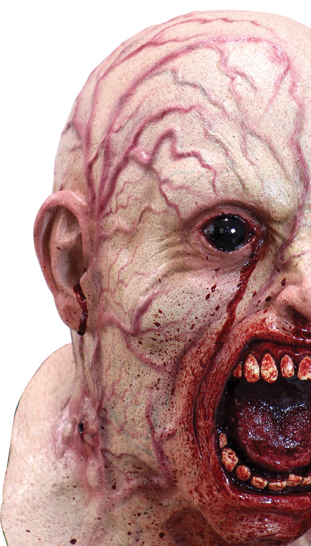 Infected Zombie Adult Mask - Costumes.com.au