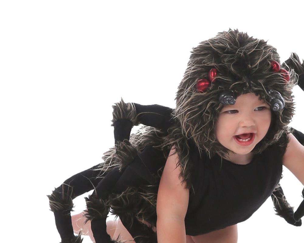 Talan the Tarantula Infant Costume - Costumes.com.au