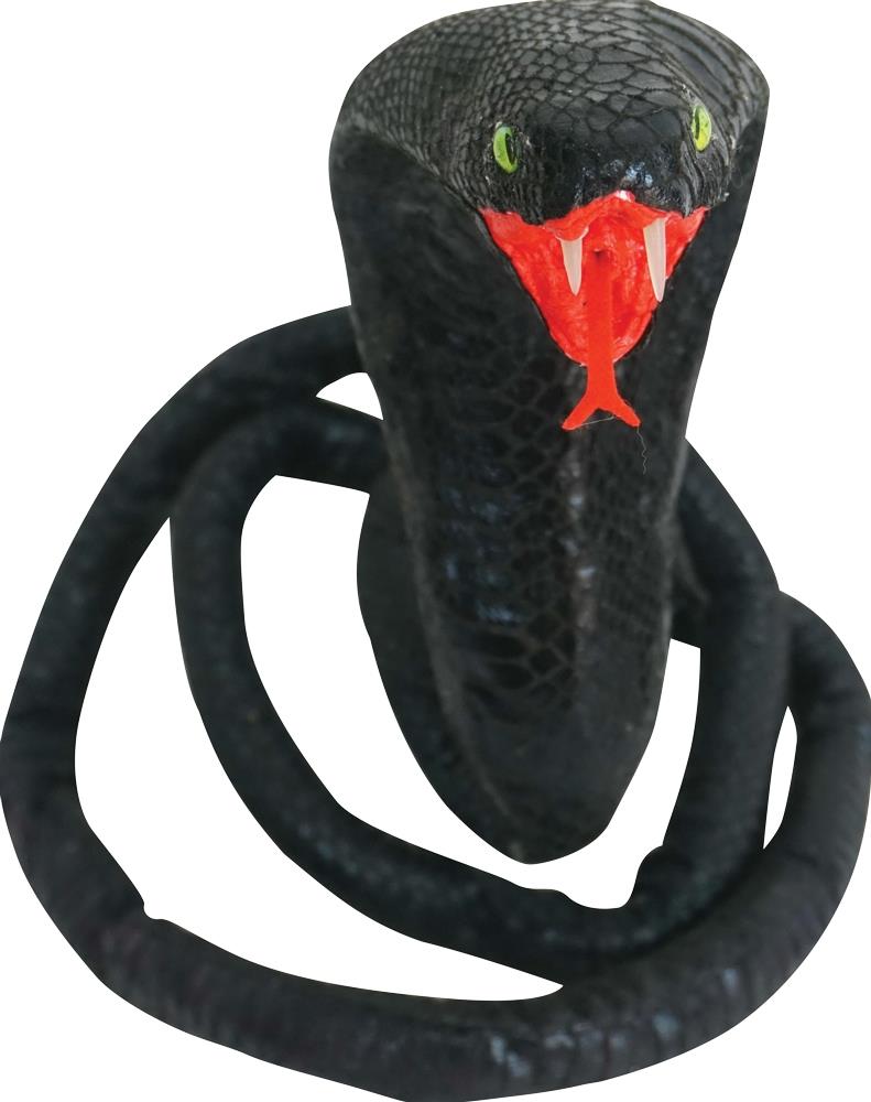Black Snake Halloween Prop | Costumes.com.au - Costumes.com.au