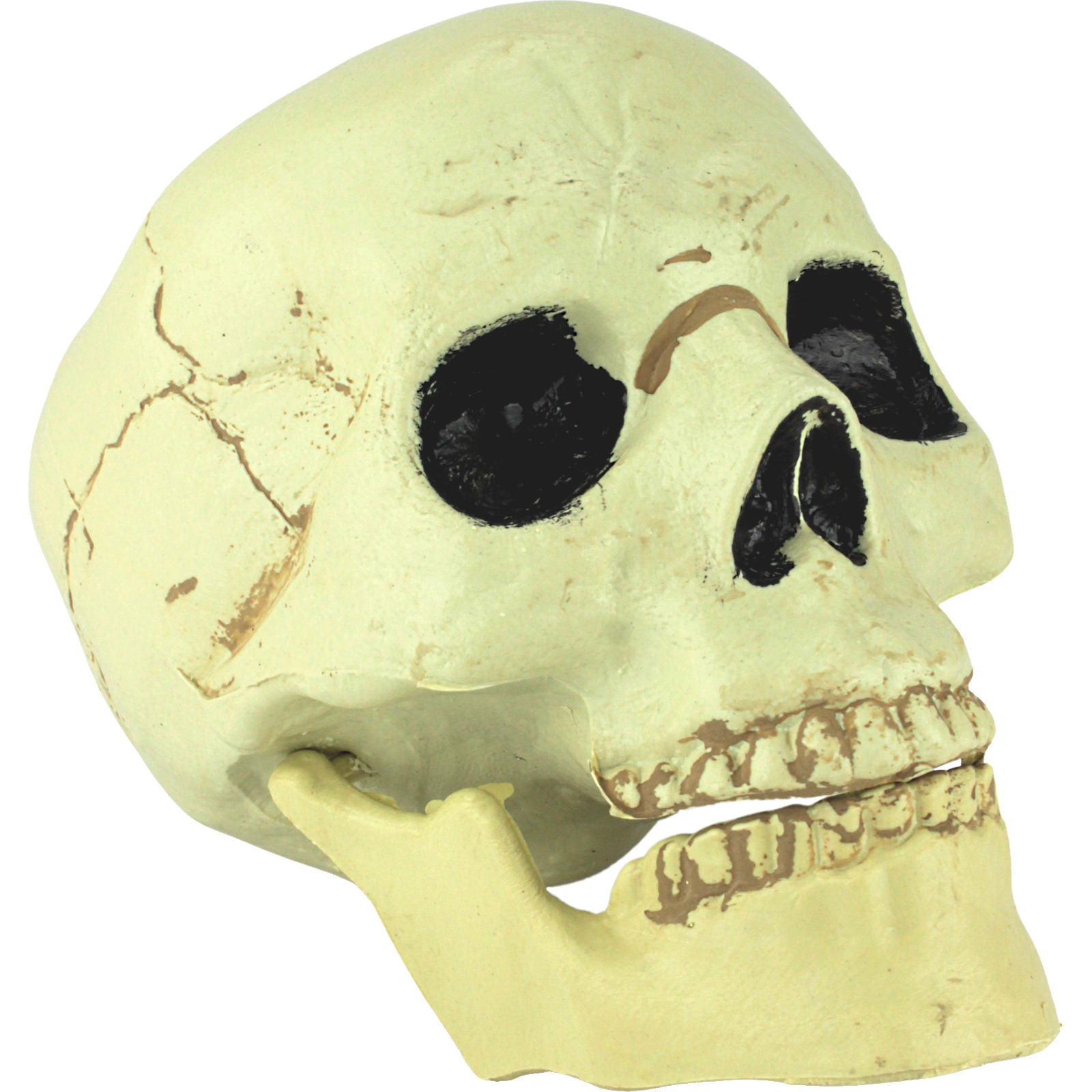 Plastic Skull Head With Hinged Jaw - Costumes.com.au